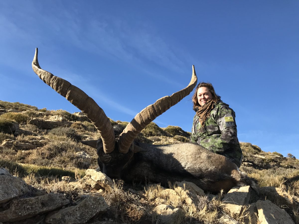 Aiming for the Spanish Ibex Grand Slam - Prime Revolution